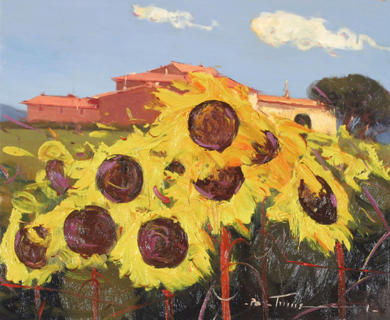 Bruno Tinucci Originals, Original Artwork